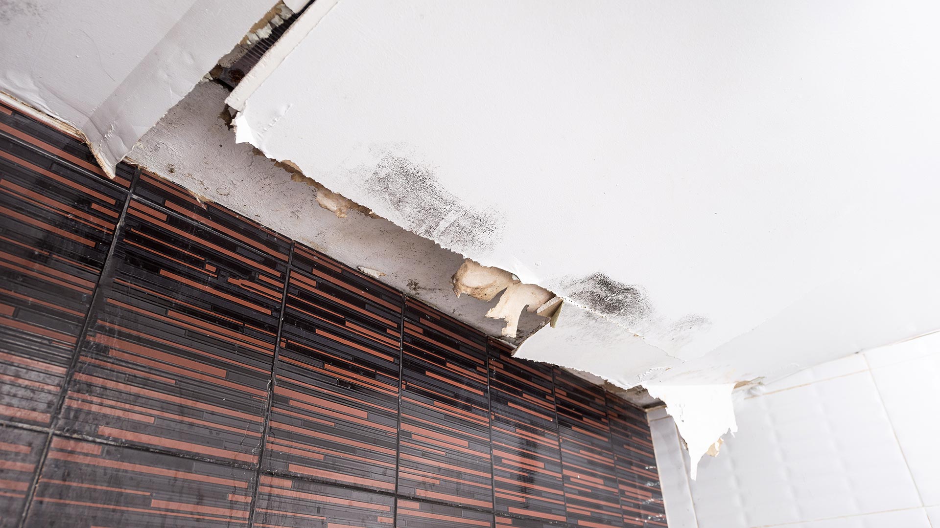 Commercial Water Damage Restoration Denver CO
