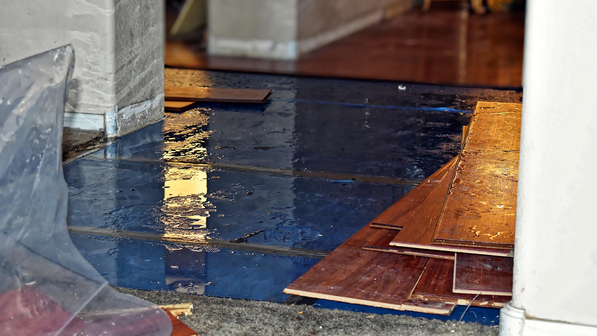 Water Damage Restoration Littleton, CO | Flood, Fire, Mold Removal